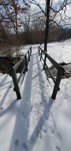 Best Hikes and Trails in Morgan's Grove Park | AllTrails