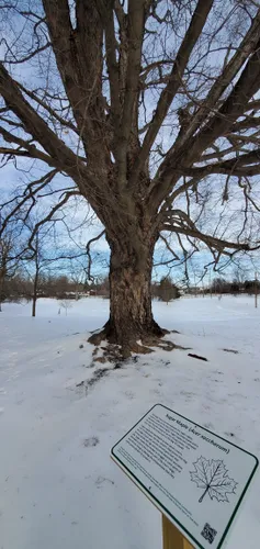 Best Hikes and Trails in Morgan's Grove Park | AllTrails