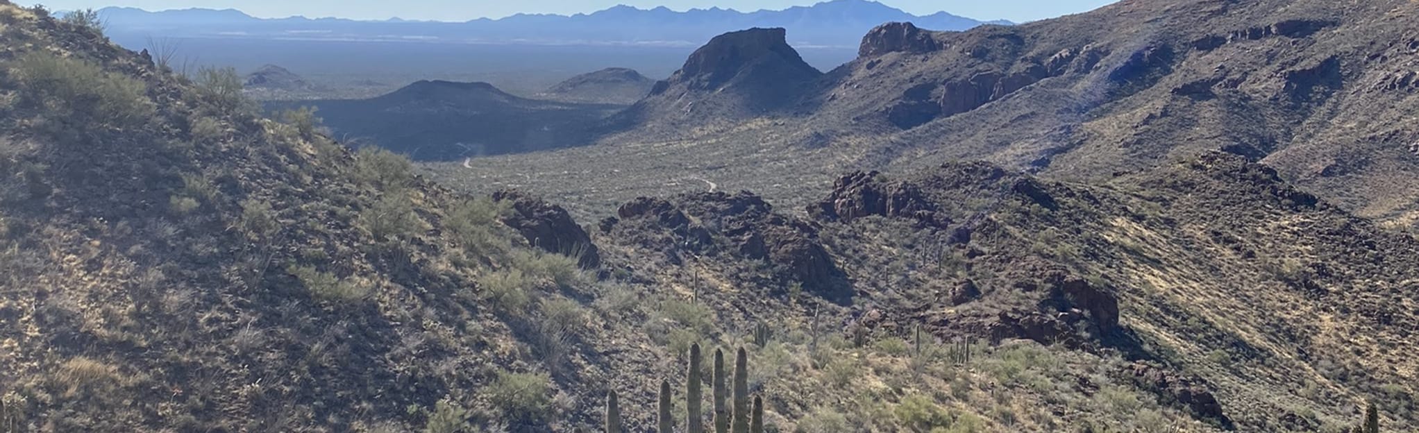 Bull Pasture Trail, Arizona - 303 Reviews, Map | AllTrails Bull Pasture Trail, Arizona - 303 Reviews, Map | AllTrails