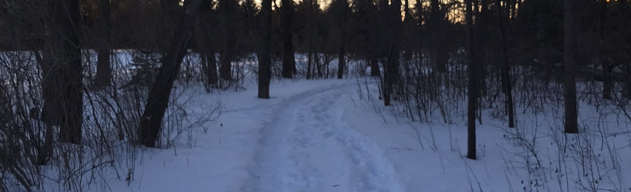 Fleming College Loop: 17 Reviews, Map - Ontario, Canada | AllTrails
