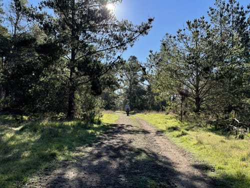 2023 Best Views Trails in Fiscalini Ranch Preserve | AllTrails