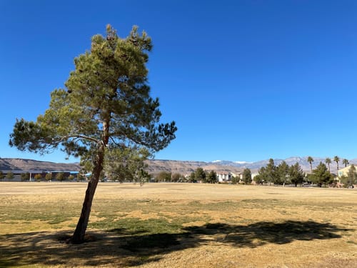 Best Hikes and Trails in Red Ridge Park | AllTrails