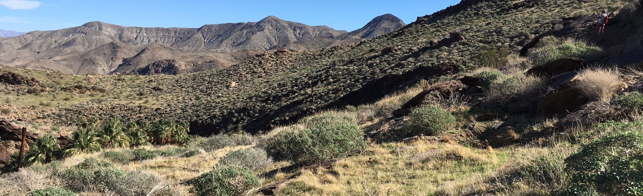 Murray Canyon Trail to Seven Falls, California - 2,150 Reviews, Map ...