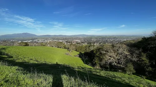 10 Best Trails and Hikes in San Ramon | AllTrails