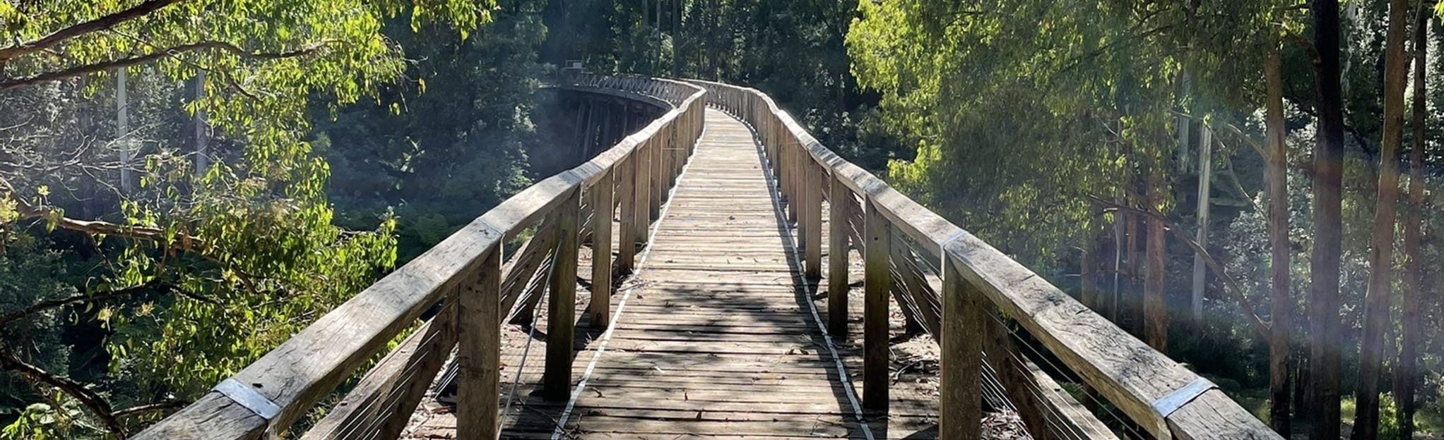 Noojee Trestle Bridge Rail Trail - Victoria, Australia | AllTrails