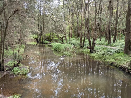 2023 Best Easy Trails in Field of Mars Reserve | AllTrails