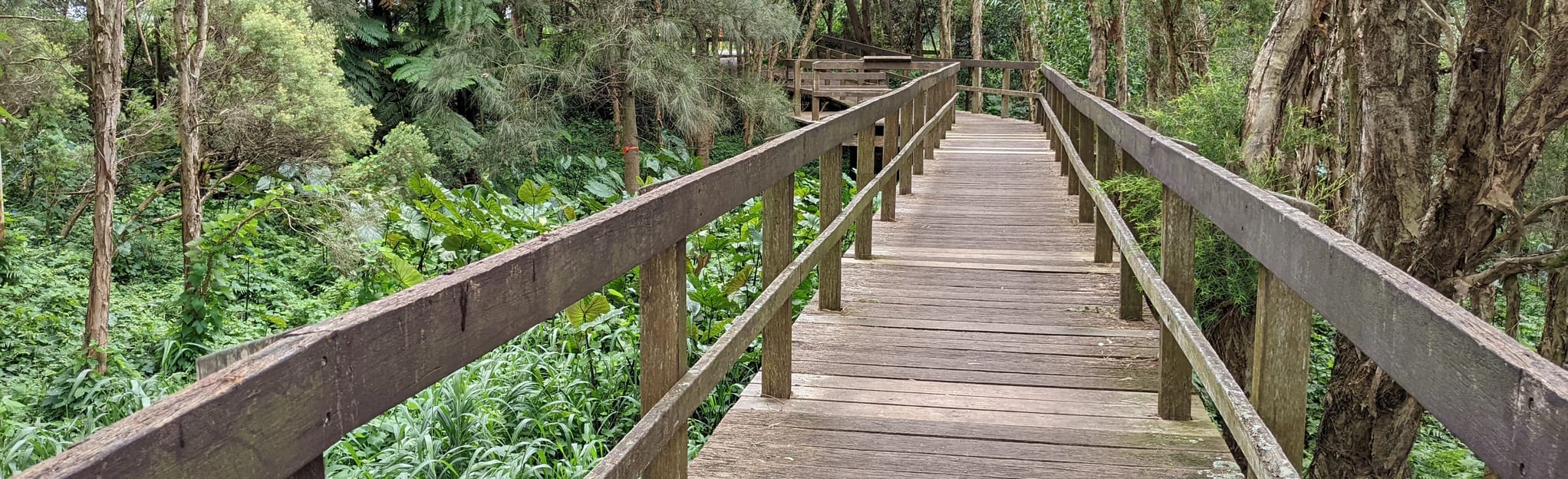 Gladesville Explorer: 17 Reviews, Map - New South Wales, Australia ...