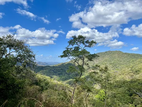 2023 Best River Trails in Santa Cruz | AllTrails