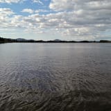 Kainui Lake Loop, Waikato, New Zealand - 99 Reviews, Map | AllTrails