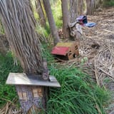 Kainui Lake Loop, Waikato, New Zealand - 99 Reviews, Map | AllTrails
