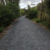 Kainui Lake Loop, Waikato, New Zealand - 99 Reviews, Map | AllTrails