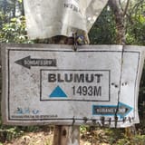 Mount Tahan via Merapoh, Pahang, Malaysia - 30 Reviews, Map | AllTrails