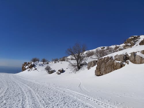2023 Best Camping Trails in Neve Ativ | AllTrails