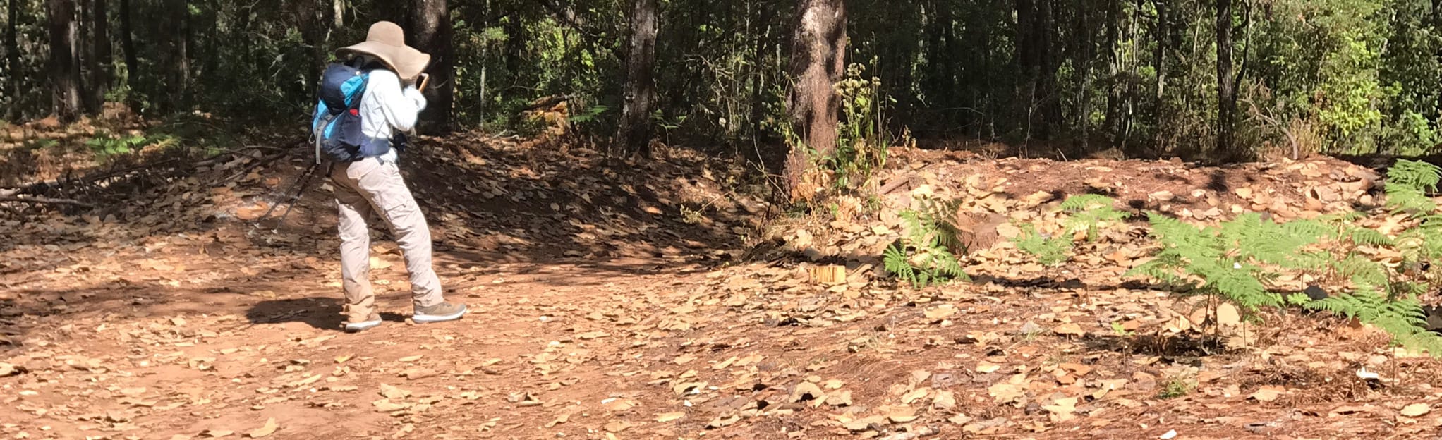 Pico Azul: 2 Reviews, Map - Michoacán, Mexico | AllTrails