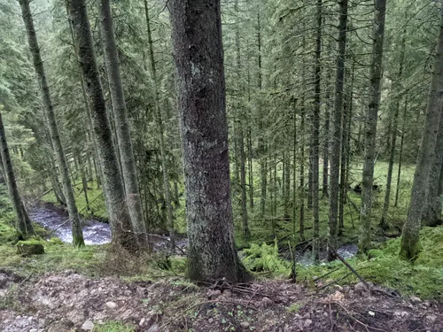 10 Best Walking Trails in Hawick | AllTrails