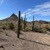 Dripping Springs , Arizona - 37 Reviews, Map | AllTrails
