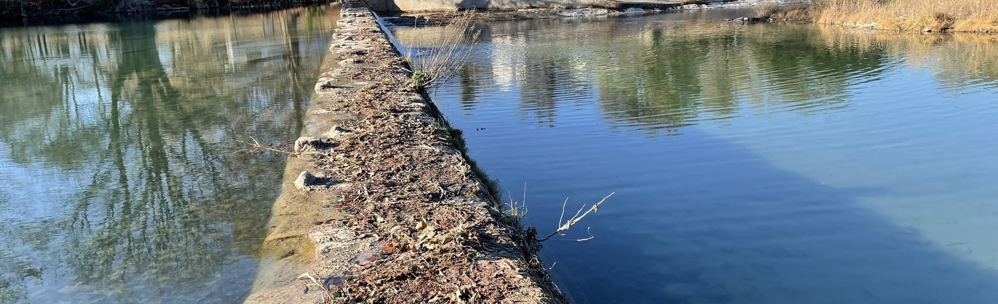 Blanco River Trail: 73 Reviews, Map - Texas | AllTrails