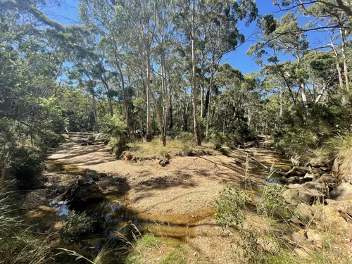 Best 10 Hiking Trails in Creswick State Forest | AllTrails
