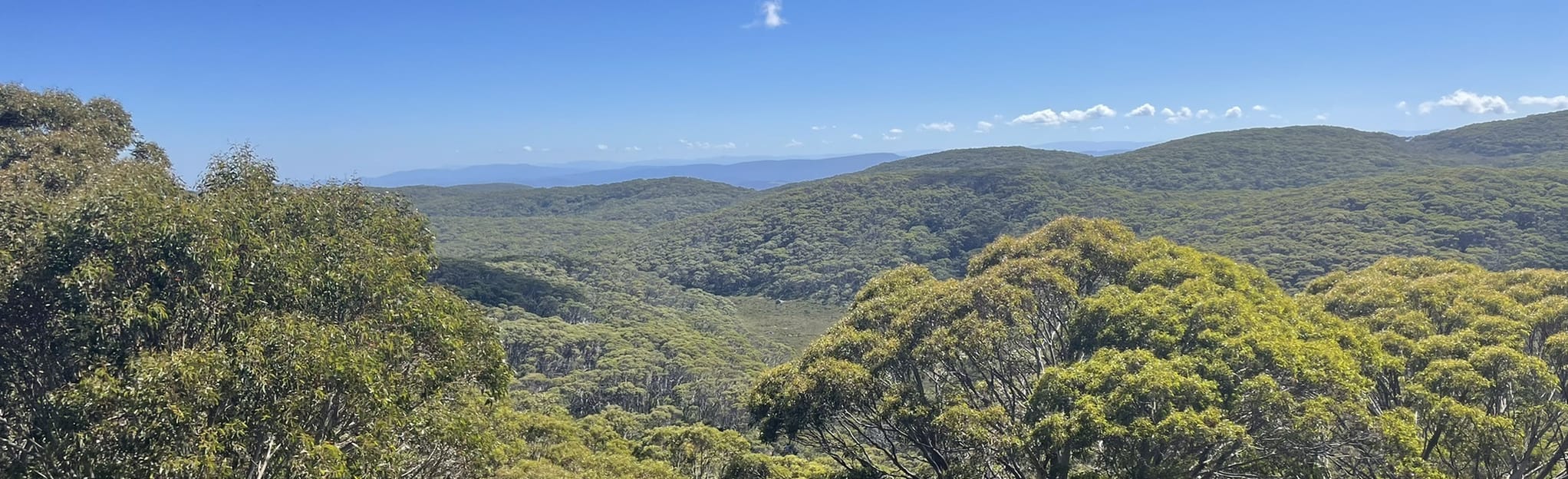 Mount Baw Baw: Green Run: 9 Reviews, Map - Victoria, Australia | AllTrails