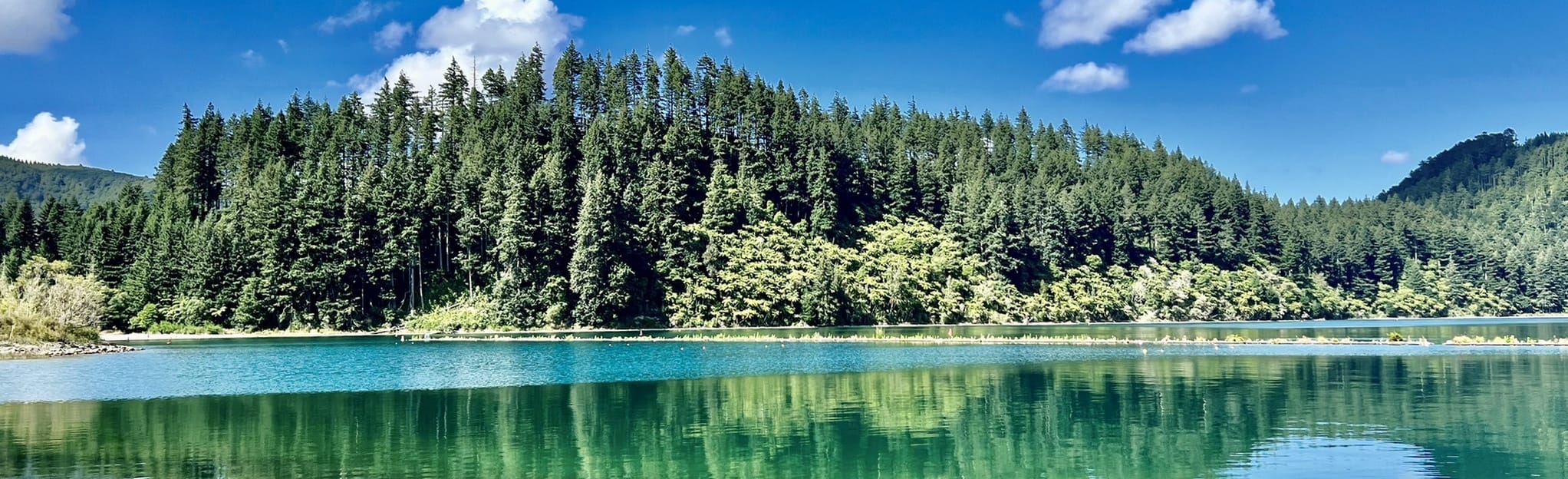 Tikitapu and Rotokakahi Lake Loops, Bay of Plenty, New Zealand - 44 ...