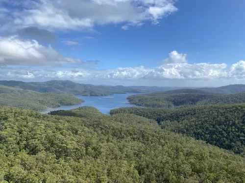 2023 Best Views Trails in Numinbah Valley | AllTrails