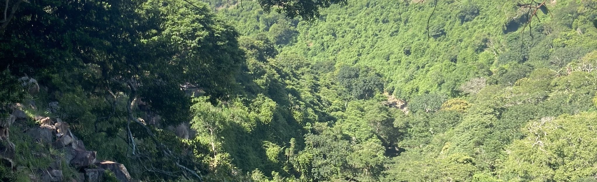 Umdoni Trail, Kwazulu-Natal, South Africa - 18 Reviews, Map | AllTrails