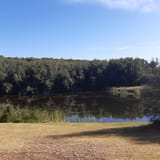 Majik Forest Walking Trail, Western Cape, South Africa - 173 Reviews ...