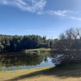 Majik Forest Walking Trail, Western Cape, South Africa - 173 Reviews ...