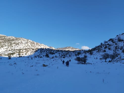 2023 Best Camping Trails in Neve Ativ | AllTrails