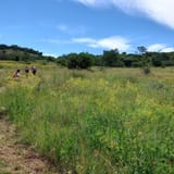 Thaba Trails, Gauteng, South Africa - 19 Reviews, Map | AllTrails