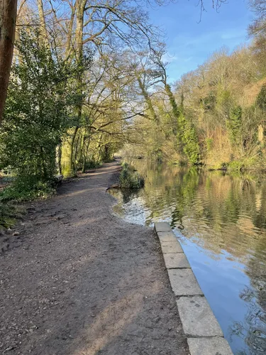 10 Best Forest Trails in Cardiff | AllTrails