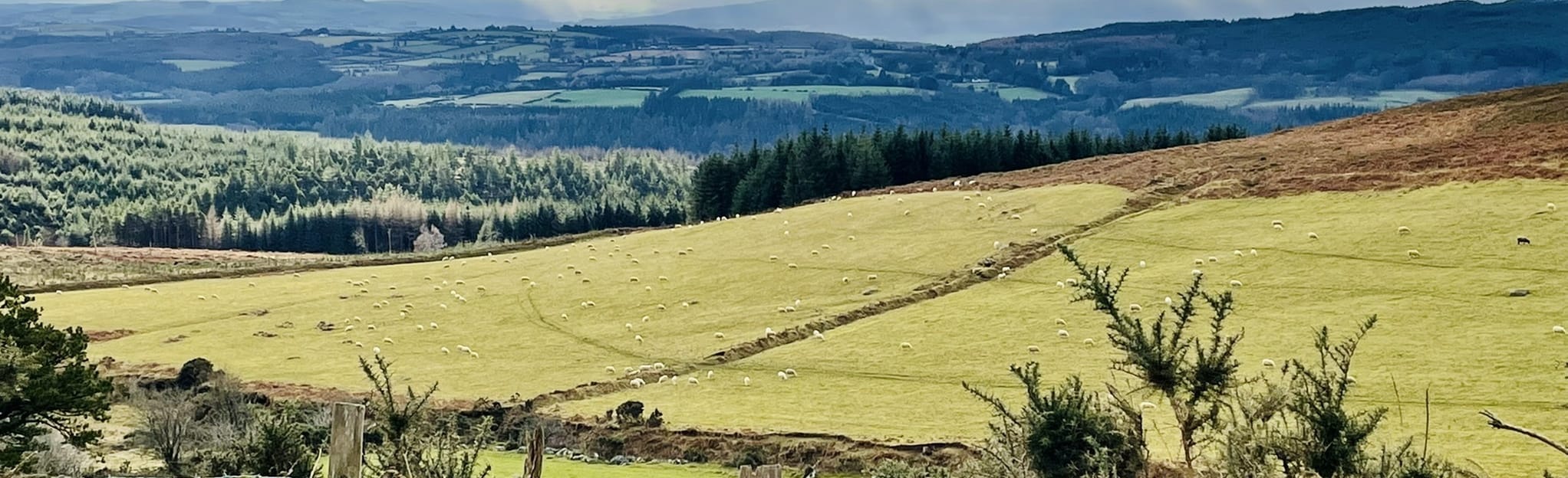 Boot Hill: 40 foto's - County Wicklow, Ierland | AllTrails