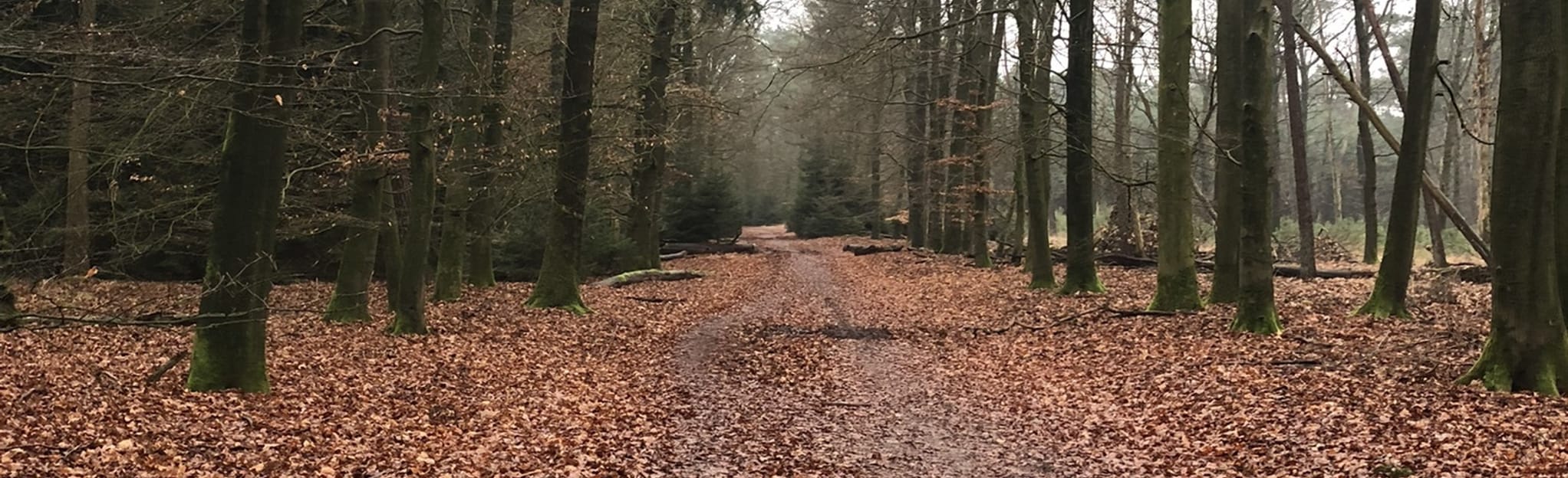 Wandelroute Landgoed Stippelberg: 14 Reviews, Map - North Brabant ...