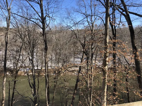 Best Forest Trails in Pleasant Grove | AllTrails