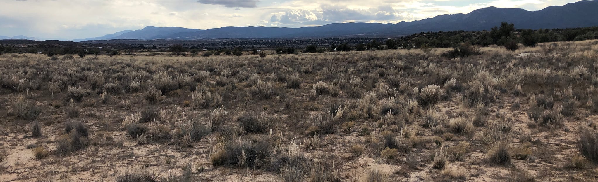 Cliffrose Trail, Arizona - 427 Reviews, Map | AllTrails