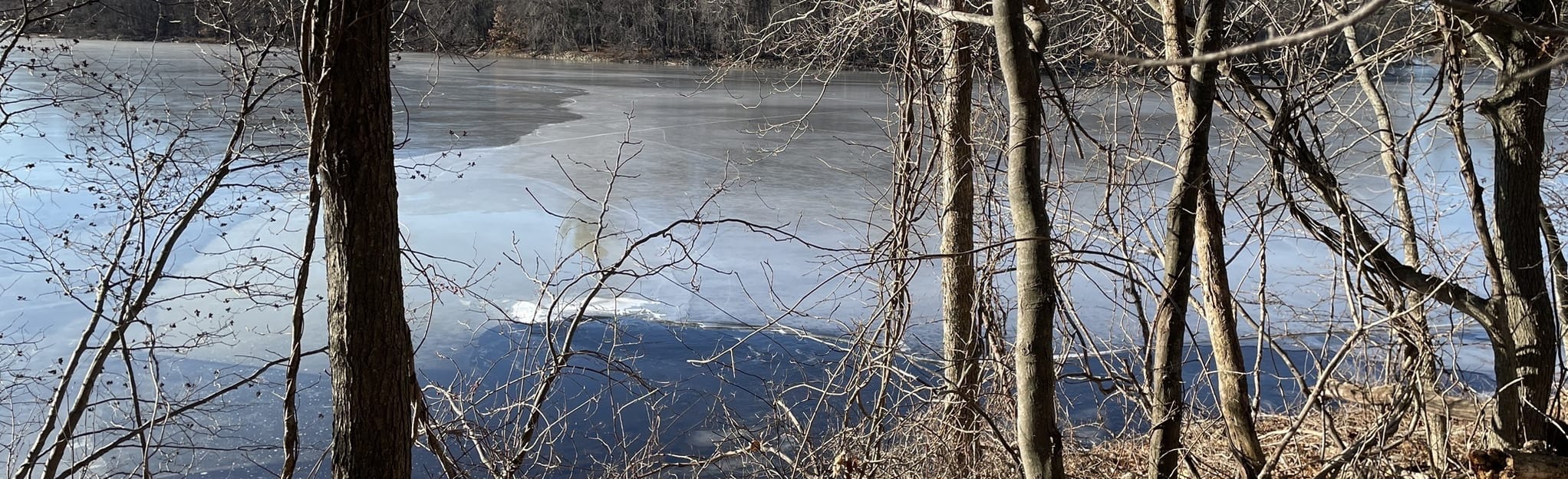 Bay Circuit Trail and Boroughs Trail: 68 Reviews, Map - Massachusetts ...