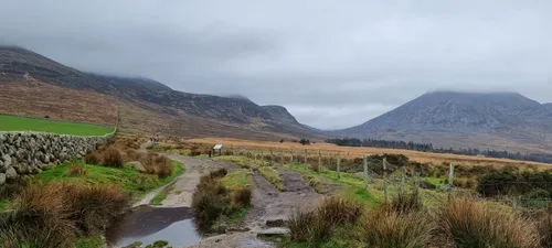2023 Best 10 Dog Friendly Trails in Mourne Mountains Area of ...