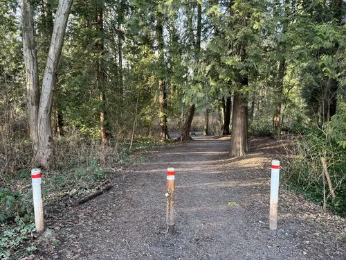 Best Hikes and Trails in George Derby Conservation Area | AllTrails