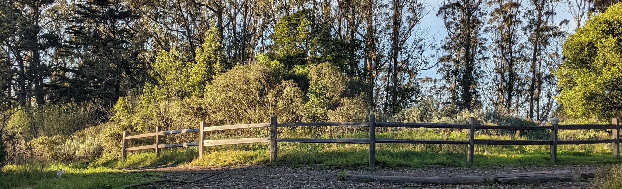 Mount Sutro Loop, California - 2,129 Reviews, Map | AllTrails