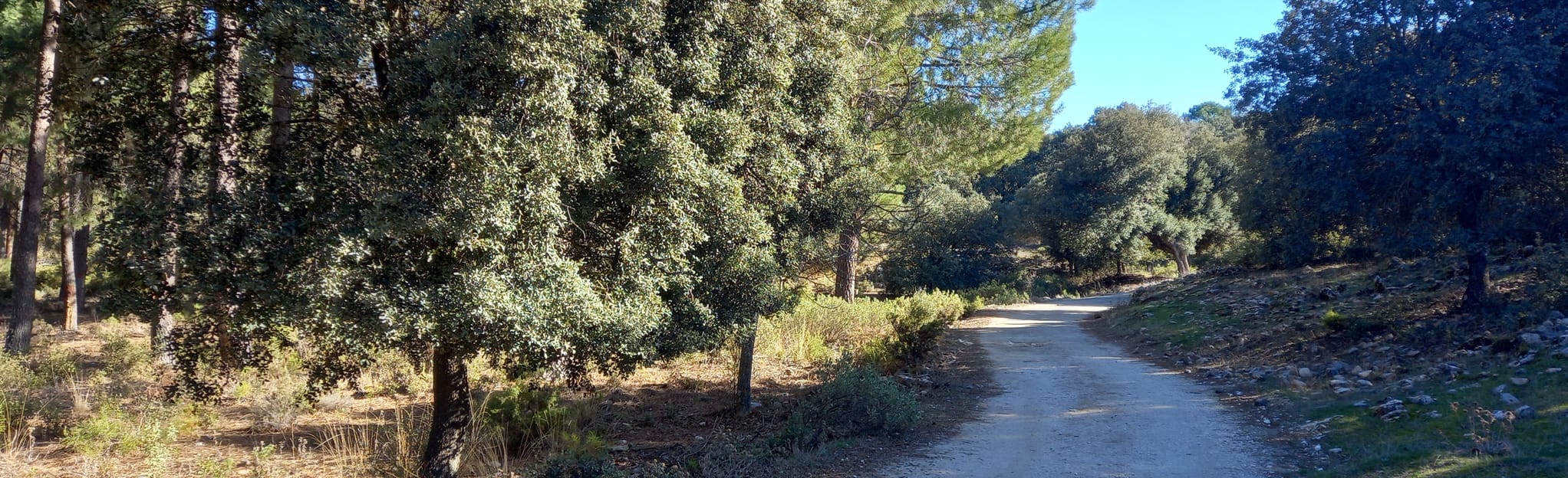 Jatar - El Robledal, Granada, Spain - Map, Guide | AllTrails