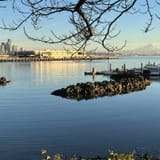 Seattle Waterfront Pathway, Washington - 706 Reviews, Map | AllTrails