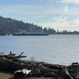 Seattle Waterfront Pathway, Washington - 626 Reviews, Map | AllTrails