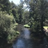 Warburton River Walk, Victoria, Australia - 188 Reviews, Map | AllTrails