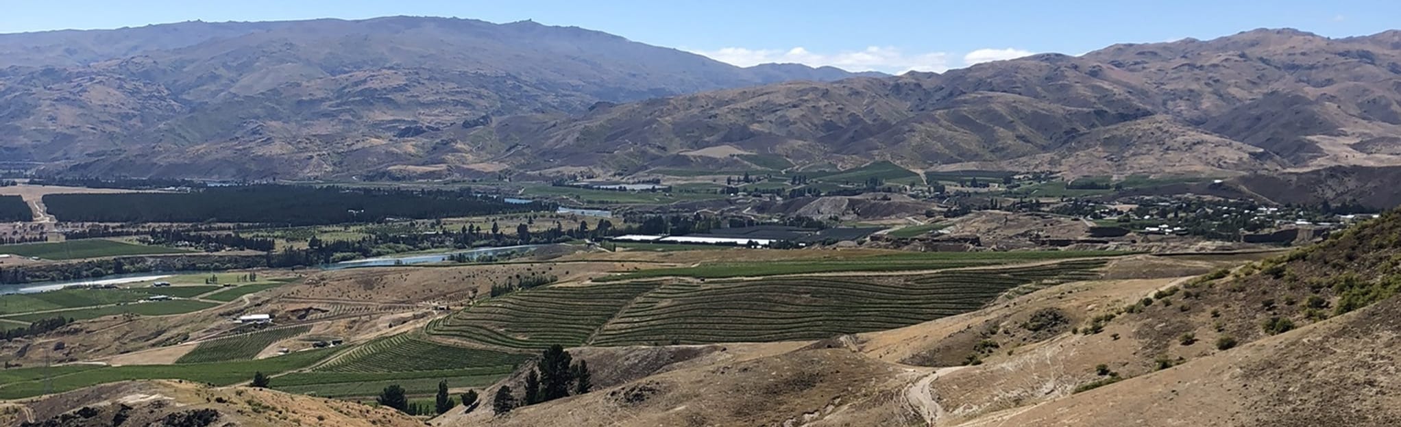 Long Gully Loop Track, Otago, New Zealand - 19 Reviews, Map | AllTrails