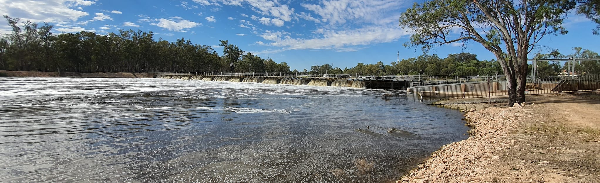 Lock Island Loop: 21 fotos - Victoria, Australia | AllTrails