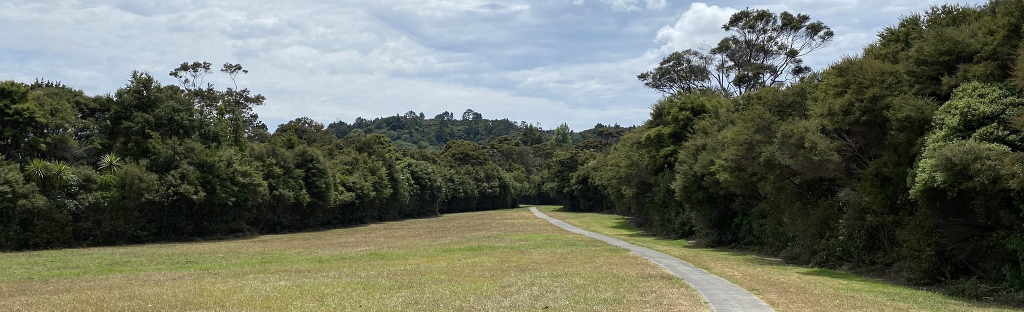 Albany Village Path, Auckland, New Zealand - 27 Reviews, Map | AllTrails