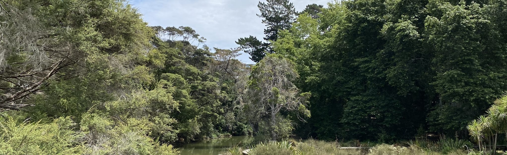 Albany Village Path: 22 Reviews, Map - Auckland, New Zealand | AllTrails