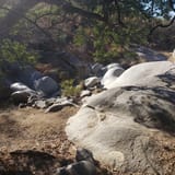 Proctor Road Nature Trail, Arizona - 295 Reviews, Map | AllTrails