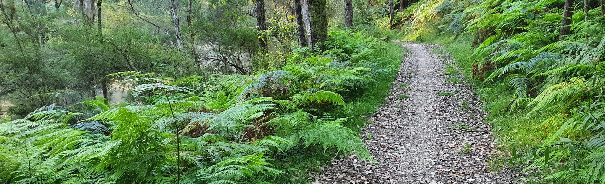 Mississippi Quarry via Log Crossing, Victoria, Australia - 11 Reviews ...