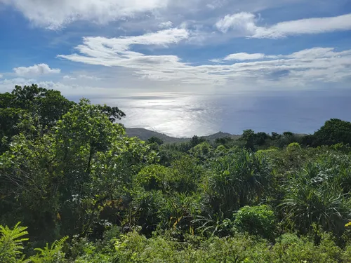 10 Best Trails and Hikes in Guam | AllTrails